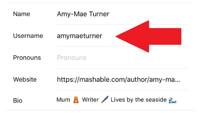 How to Change Your Instagram Username or Display Name? - SCJ