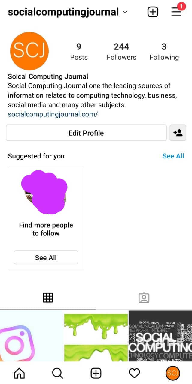 How to See Your Previously Liked Posts on Instagram? - SCJ