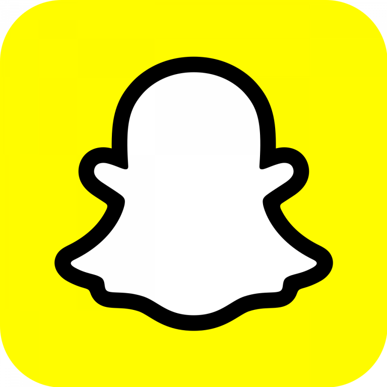 What is Social Networking Service? Explained with Examples - SCJ