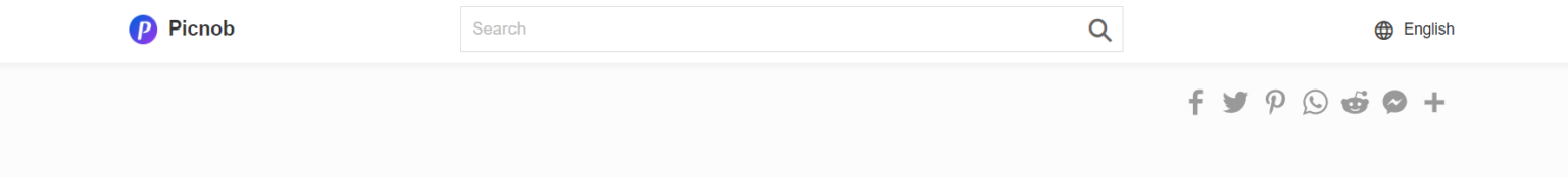 Picnob Instagram Viewer: Your Ultimate Guide - SCJ
