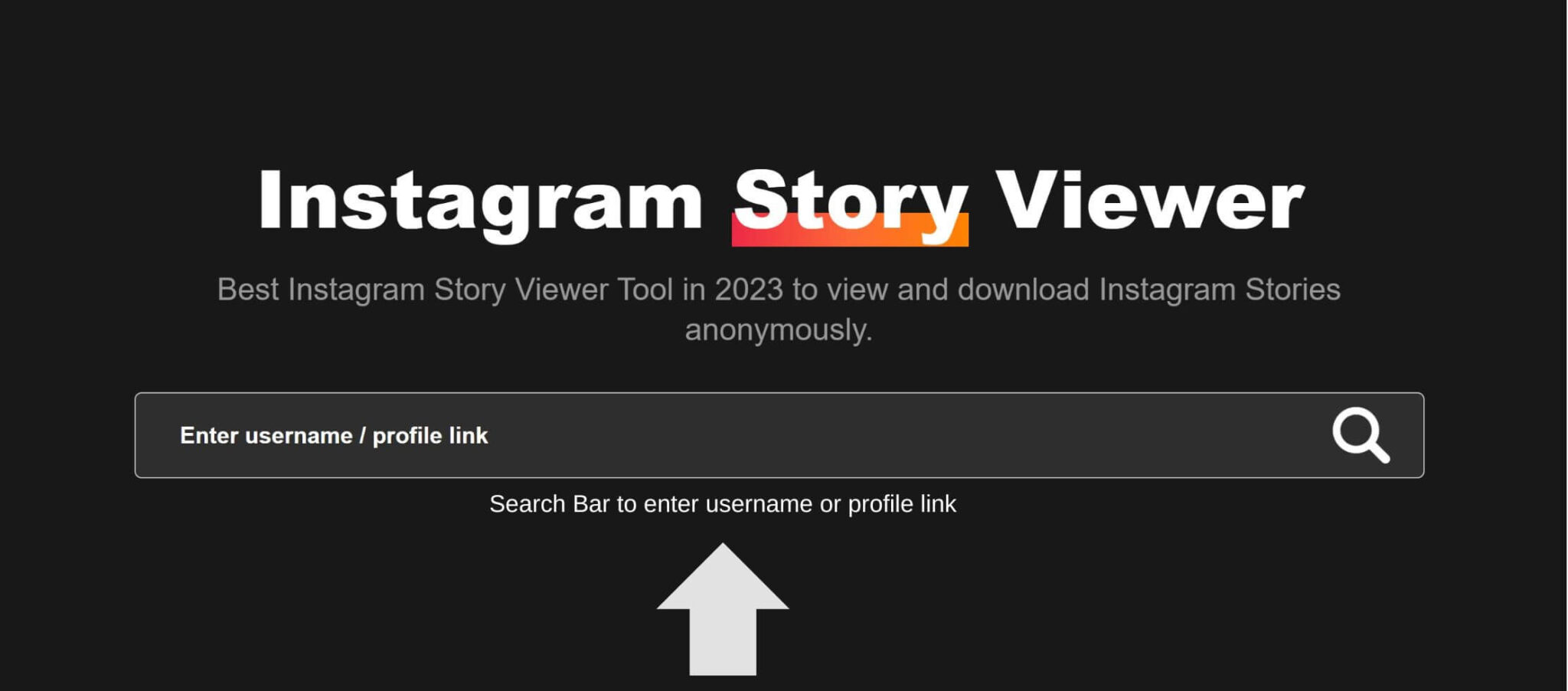 Iganony: An Anonymous Instagram Stories Viewer Tool - SCJ